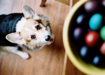 How To Shoot FujiFilm Superia 800 Film » Shoot It With Film