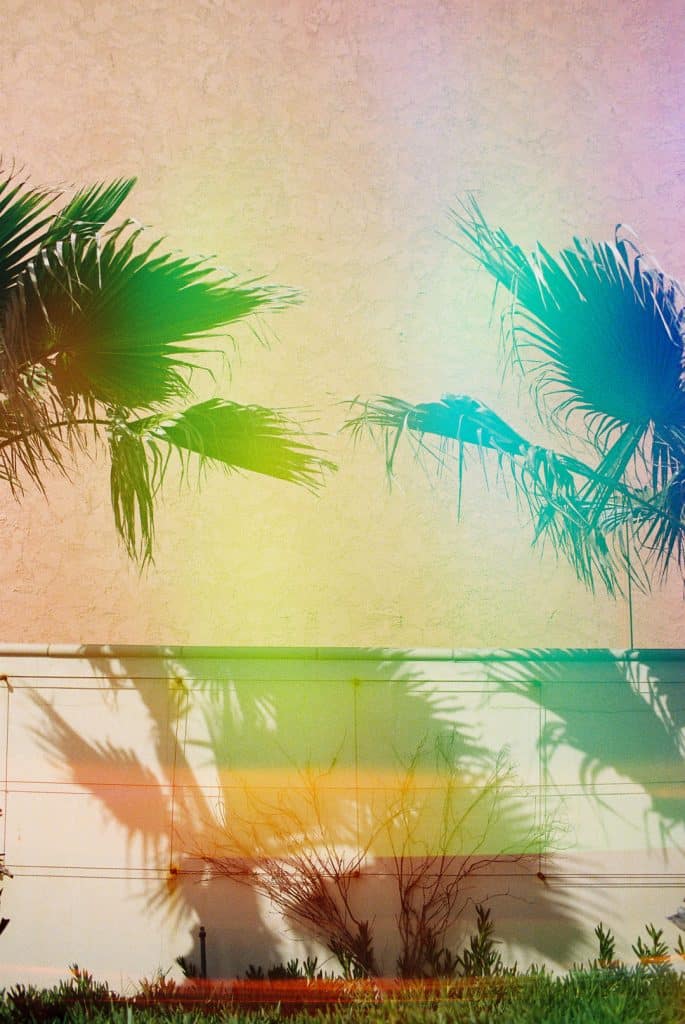 Learn to Shoot Film: 4 Tips for Creating Colorful Film Images » Shoot ...