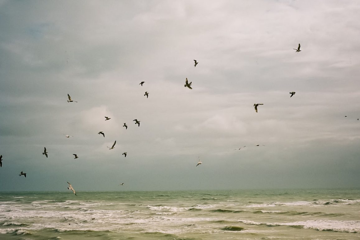 What is a Rangefinder? And is It the Right Film Camera for You? » Shoot ...