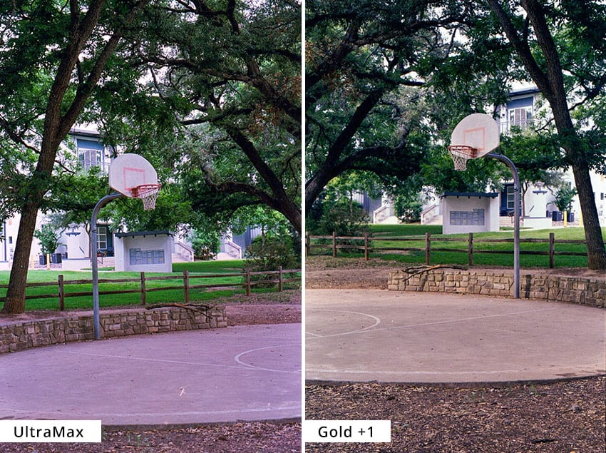 Film Comparison Kodak UltraMax 400 Vs Kodak Gold 200 Pushed One Stop Film Comparison Kodak UltraMax 400 Vs Kodak Gold 200 Pushed One Stop