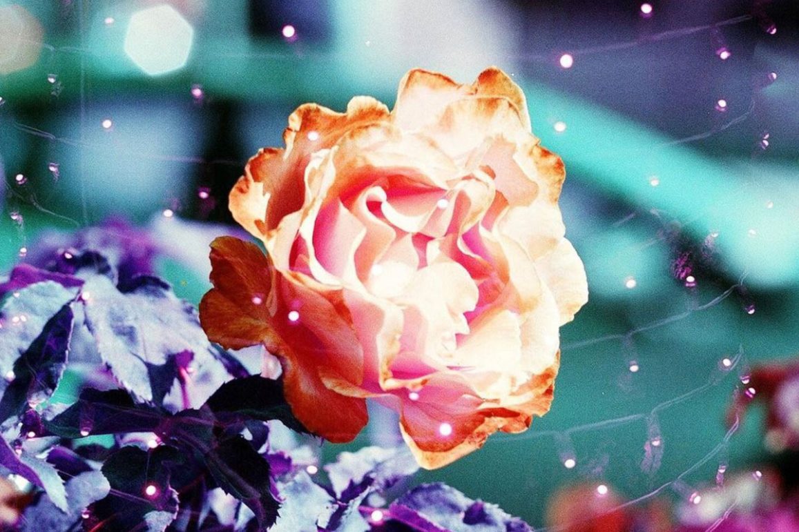 Shoot It With Film » A community for film photographers to learn, share ...