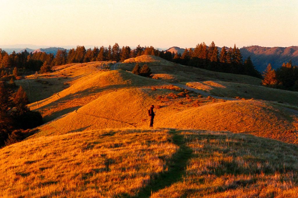 Shoot It With Film » A community for film photographers to learn, share ...